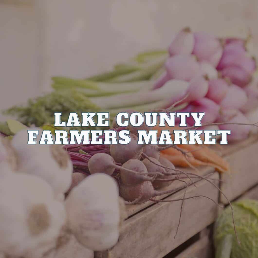 Exploring Markets in the Mount Dora Area: A Guide to Local Treasures ...