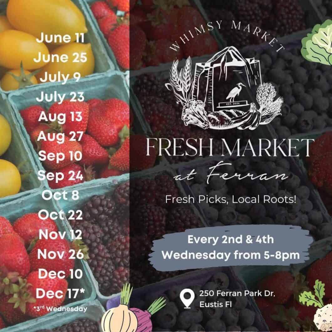 Exploring Markets in the Mount Dora Area: A Guide to Local Treasures ...