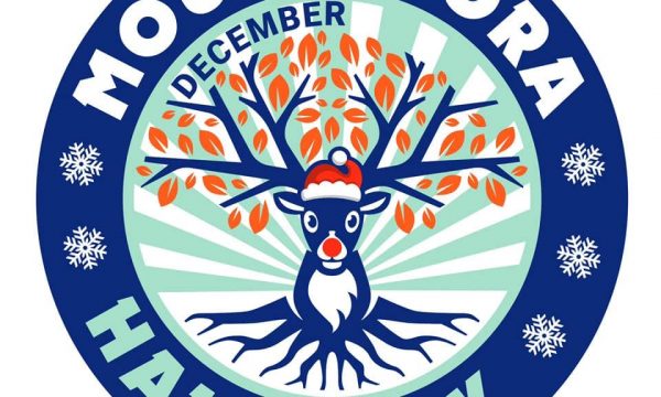 Mount Dora Events Calendar | Local Activities To Keep You On The Go